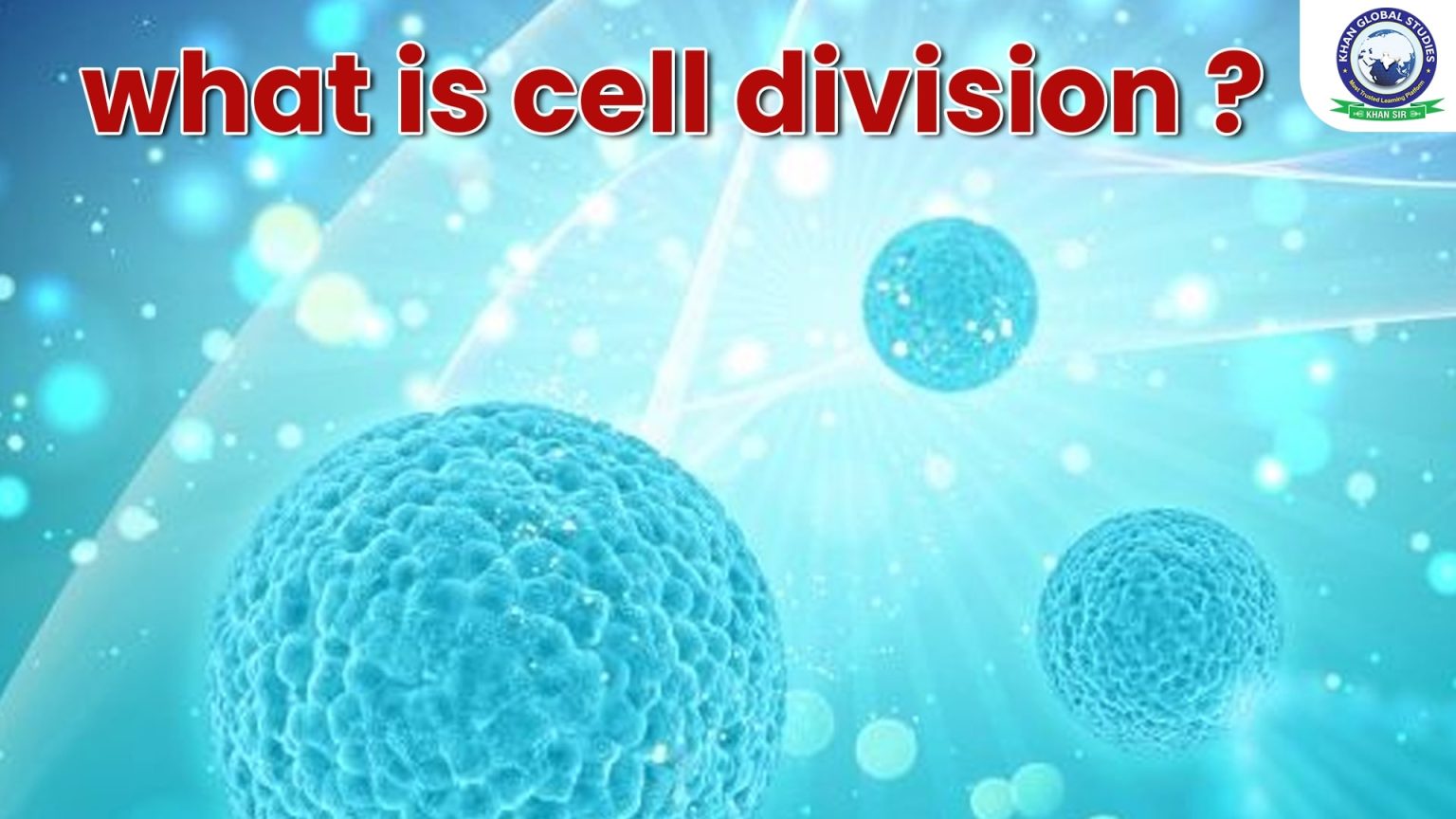What is the Cell Division?: Type & Phases - Khan Global Studies Blogs