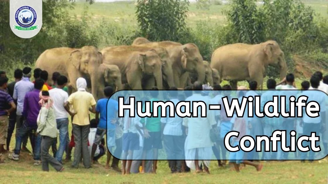 Human-Wildlife Conflict: Definition, Causes and Impacts | Khan Global Studies Blogs