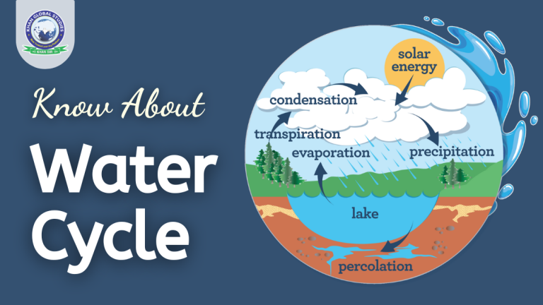 Water Cycle: Definition, Stages, Diagram and Facts | Khan Global ...