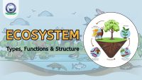 Explain Ecosystem: Define, Concepts, Types and Structure | Khan Global ...