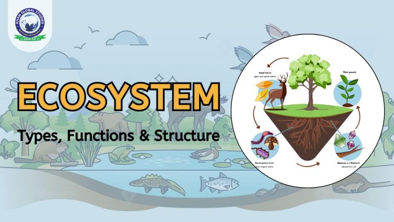 Explain Ecosystem: Define, Concepts, Types and Structure | Khan Global ...