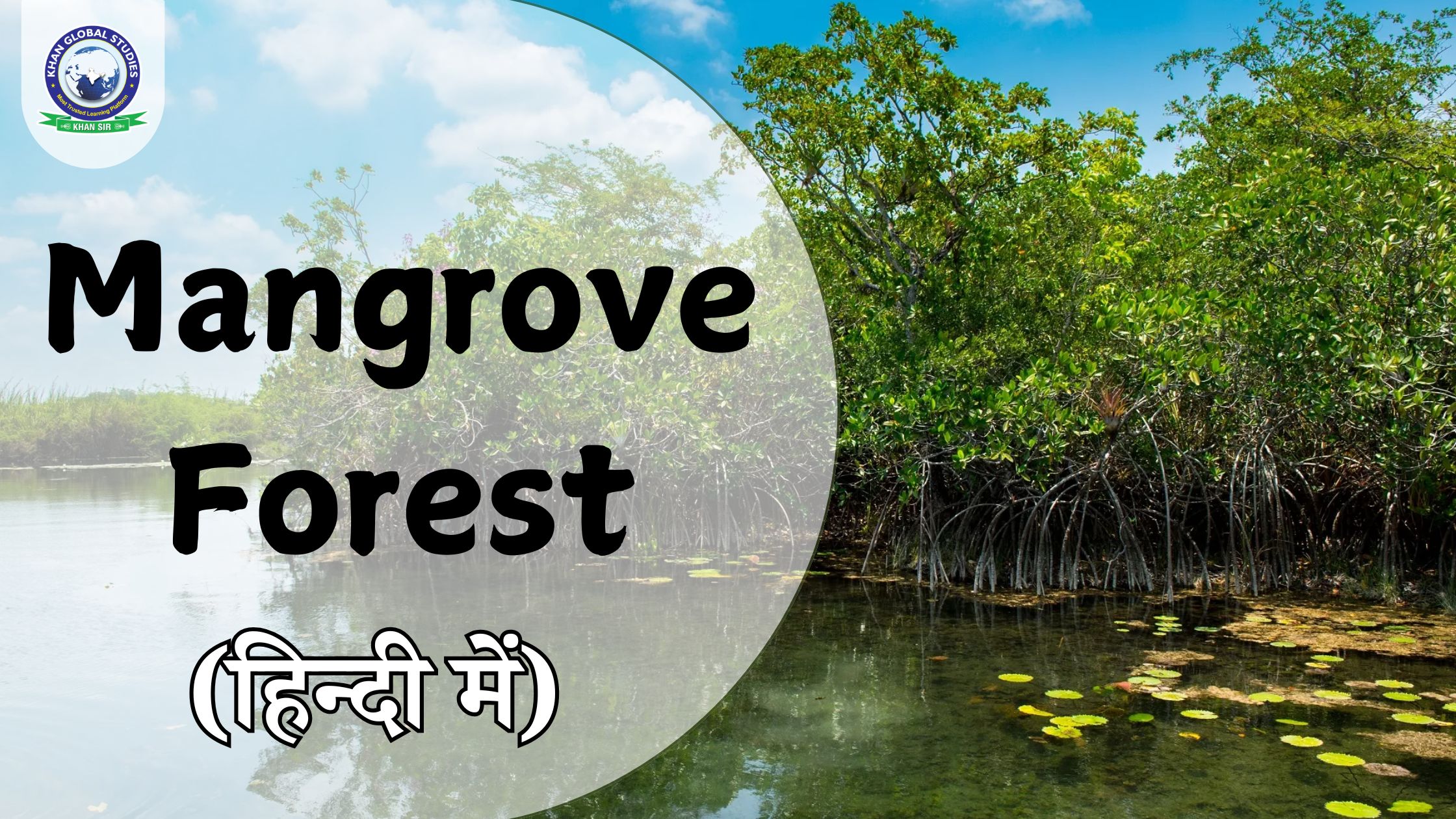 मैंग्रोव वन: परिचय, इतिहास, जड़ प्रणाली और प्रजनन | Khan Global Studies Blogs