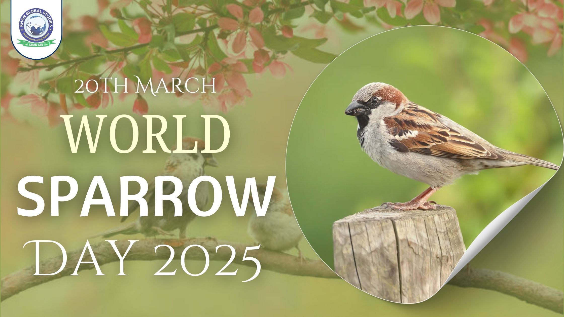 World Sparrow Day 2025: A Call to Save Our Beloved Sparrow | Khan ...