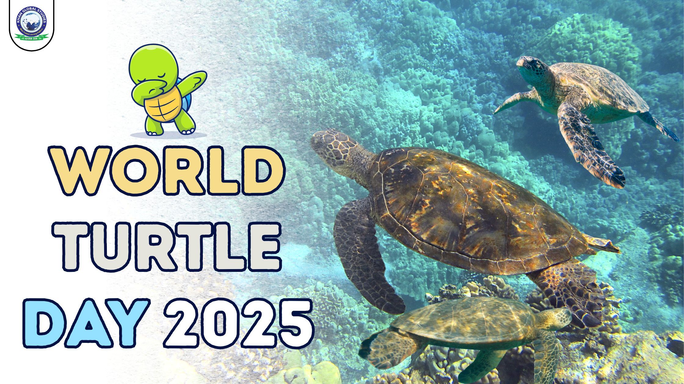 World Turtle Day 2025: History, Objective and Facts | Khan Global ...